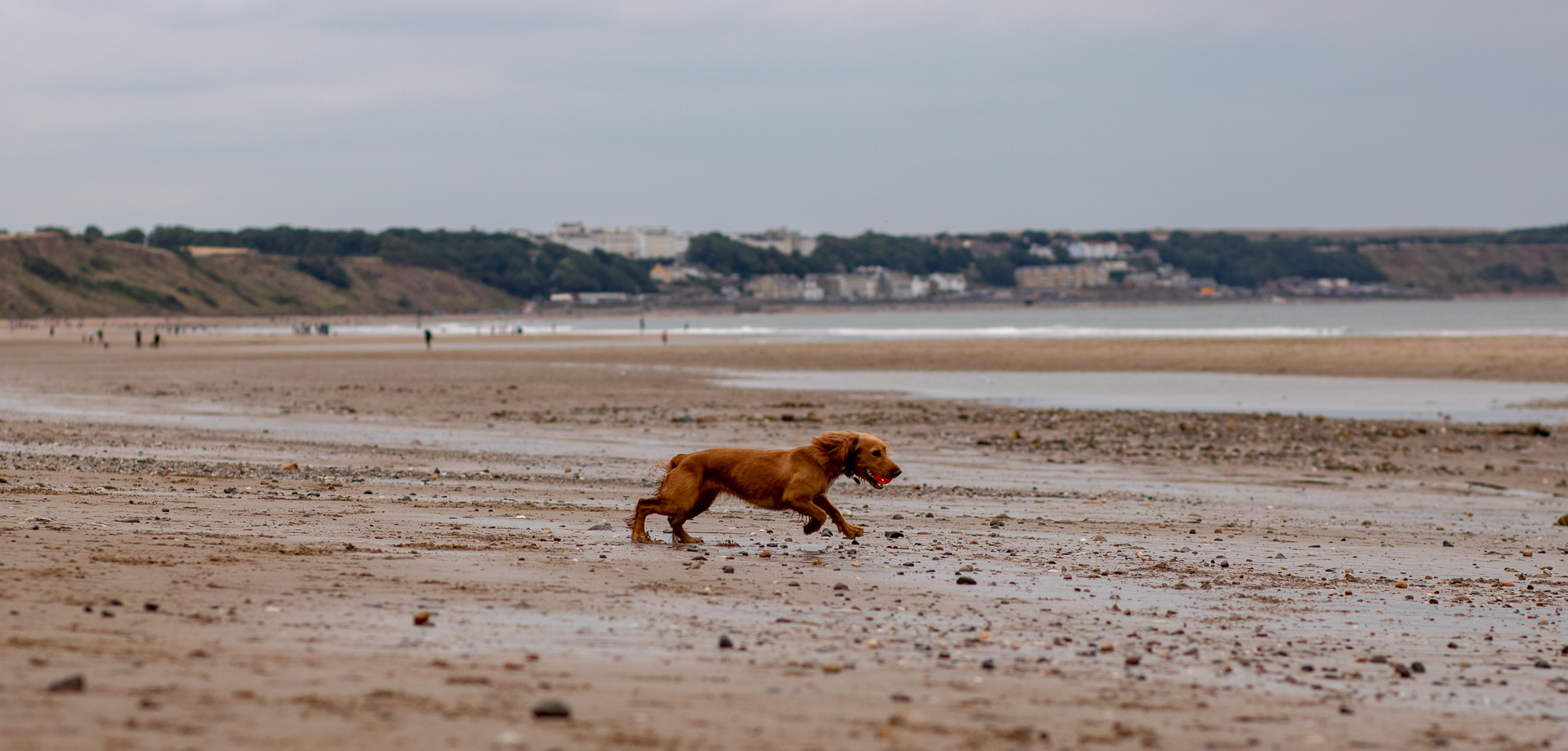 Dog Friendly Yorkshire – Filey – woofwagwalk.co.uk